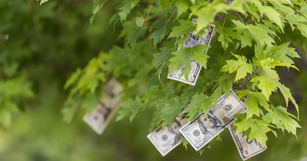 Gross Profit Margin - Gateway to Sustainable Positive Cash Flow ...