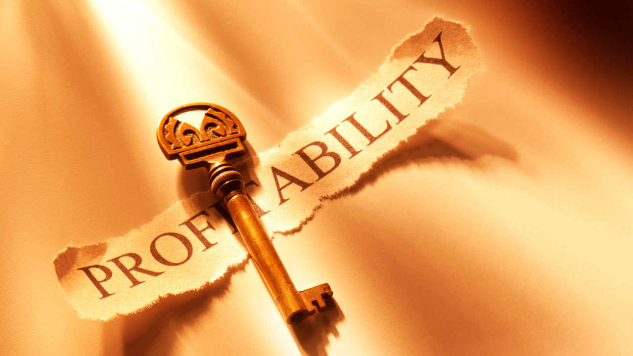 Project Profitability Analysis - Norman Professional Services