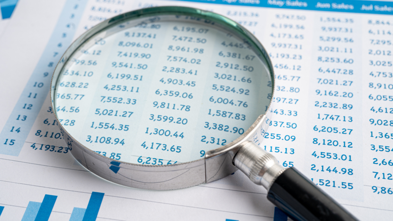 General Ledger Quality Review - Norman Professional Services